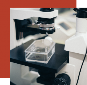 Advac Therapeutics – Next-Gen Lung Care